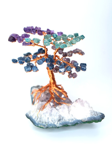 Astra Family Tree | Astra Gems