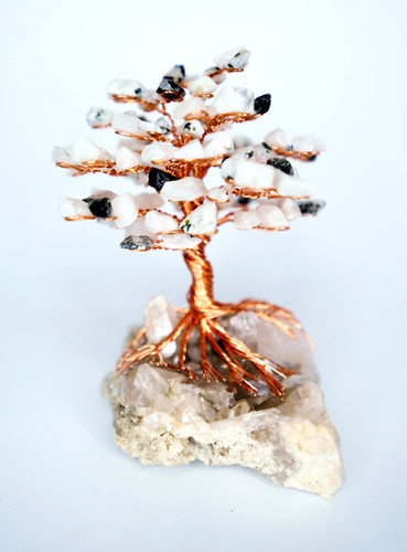 Rainbow Moonstone Astra Tree | Astra Gems
