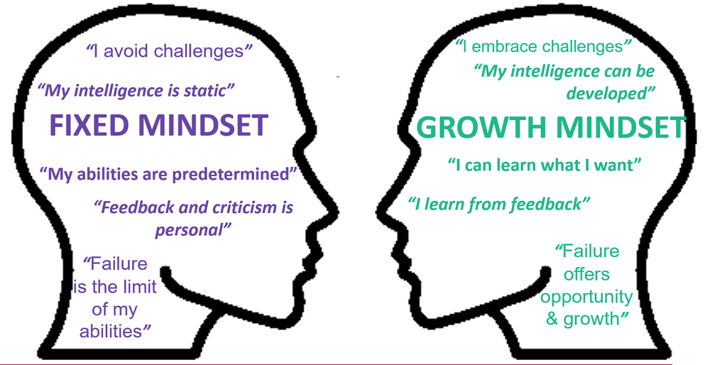 Neuroscience for Agile Leadership: Neuroplasticity and Growth Mindset