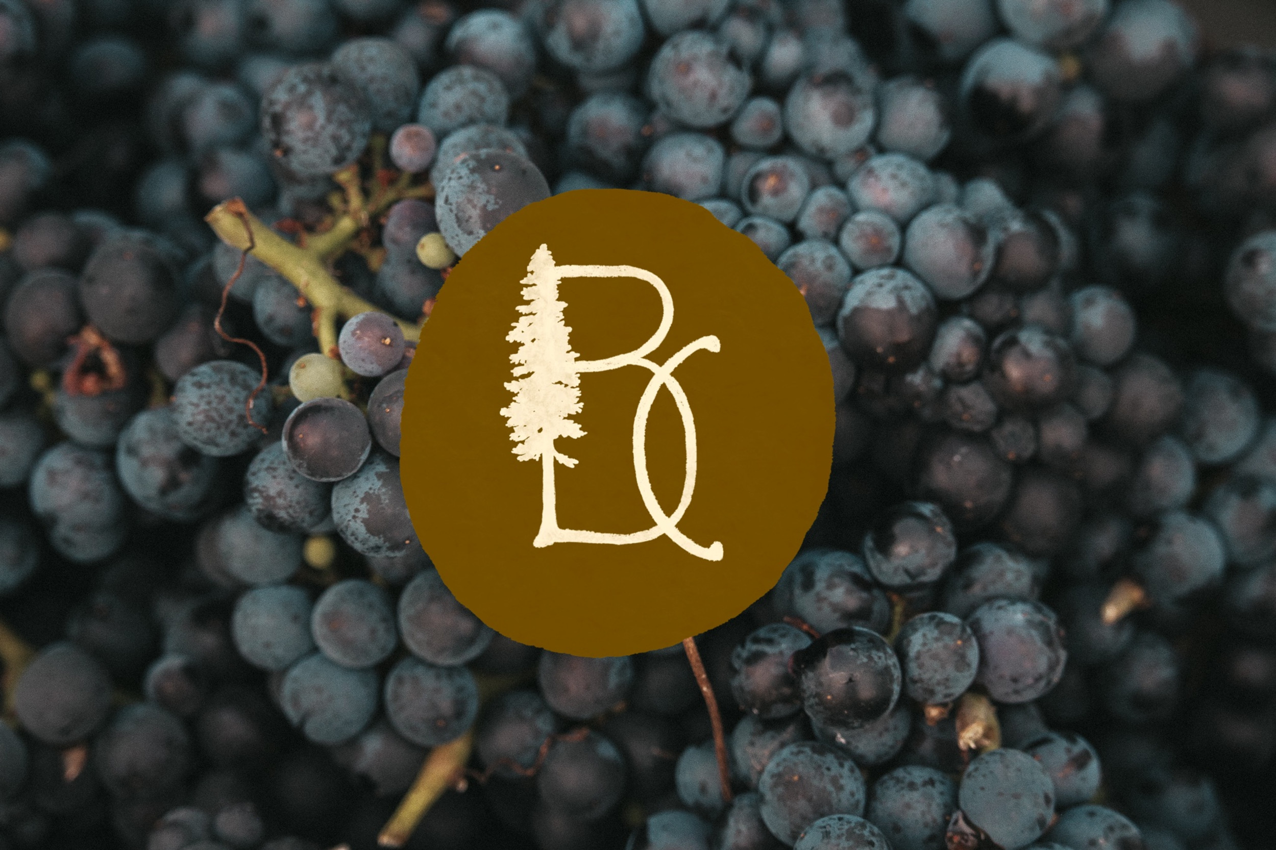 Barmann Cellars | Natural Winery | Everson