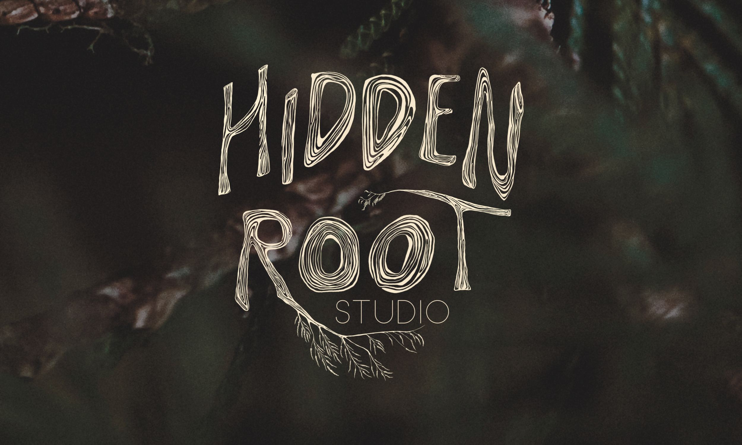 Hidden Root Studio | Gyrotonic Private Sessions | Body Work near Mt ...