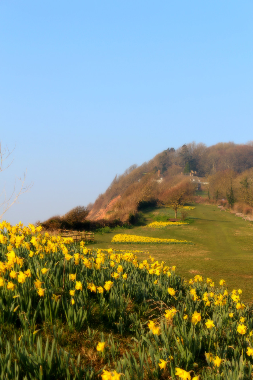 Maria Thorne Photography | Devon Photograper | Gallery