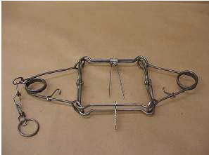 Duke #160 Body Gripper Trap | Cumberland Trappers