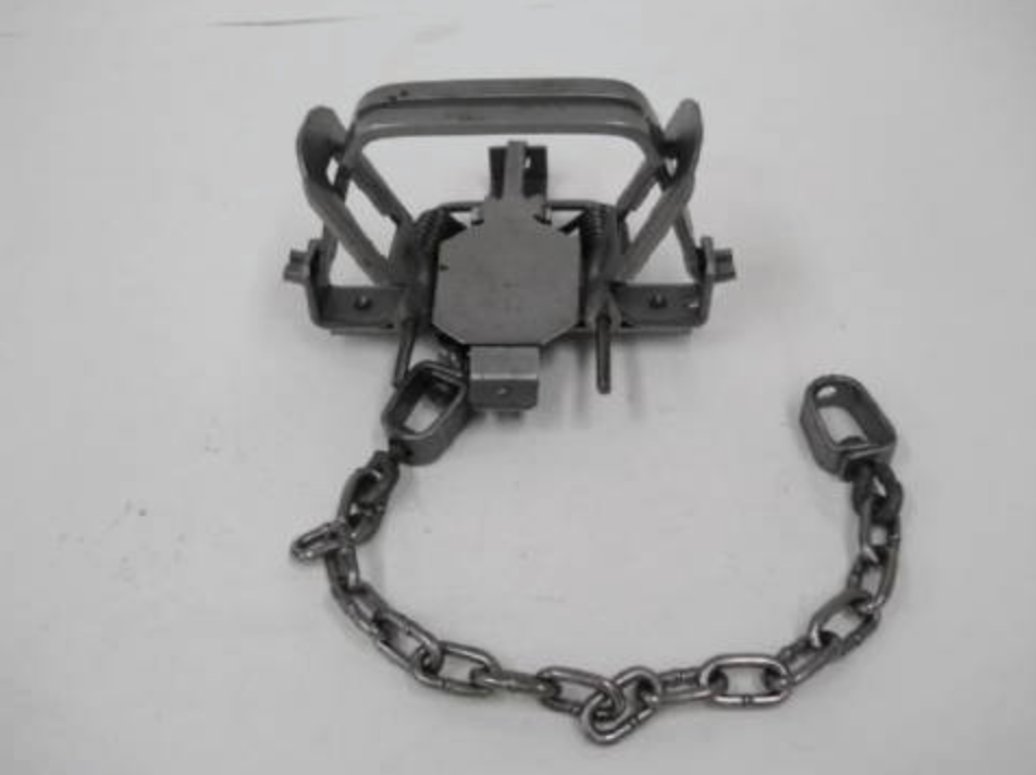 Bridger Coil Spring | Cumberland Trappers Supply