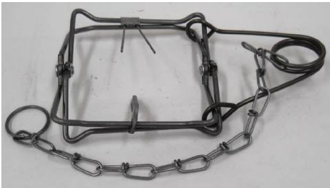 Bridger 150 Single Spring Body Grip Trap | Cumberland Trappers