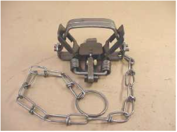 Bridger #1 Double Coil Spring Trap | Cumberland Trappers