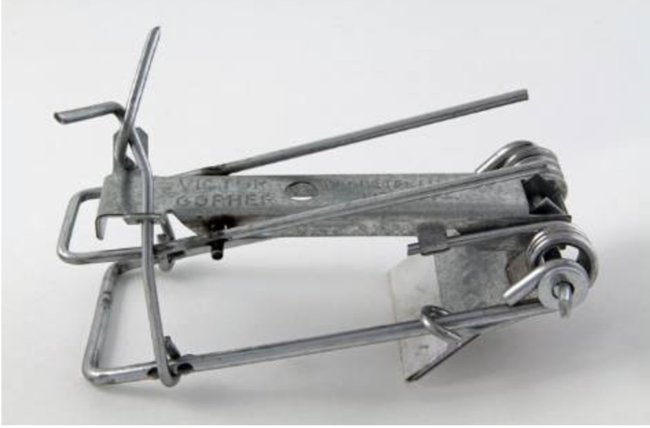 Victor Easy Set Gopher Trap Model 0610- 2 pk | Cumberland Trappers