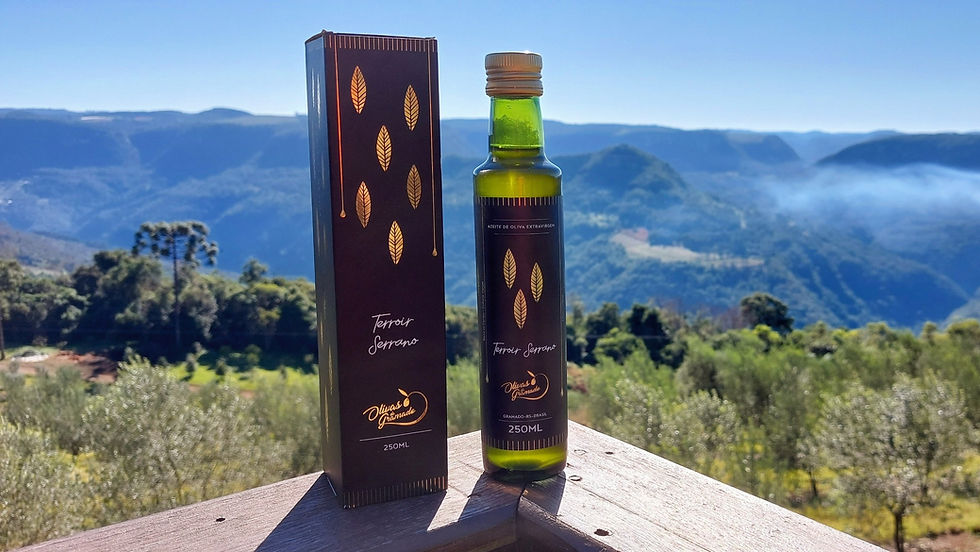 Azeite Terroir Serrano do Olivas de Gramado é reconhecido como um dos ...