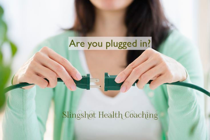 Are You Plugged In?