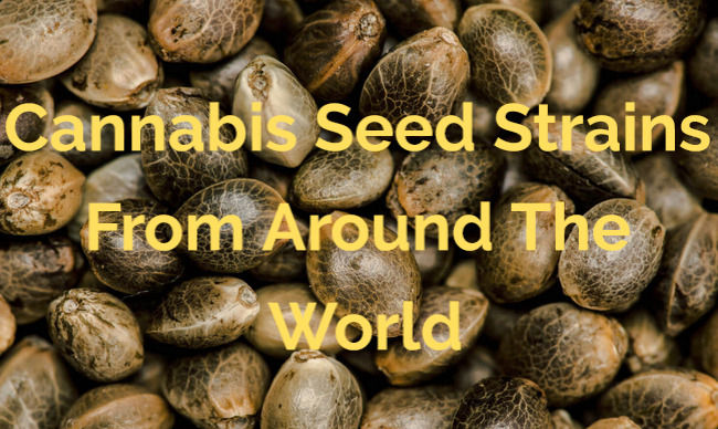 KANGA SEEDS AUSTRALIA BLOG