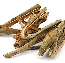 Moringa Wholesale Suppliers | MoringaOrganicIndia