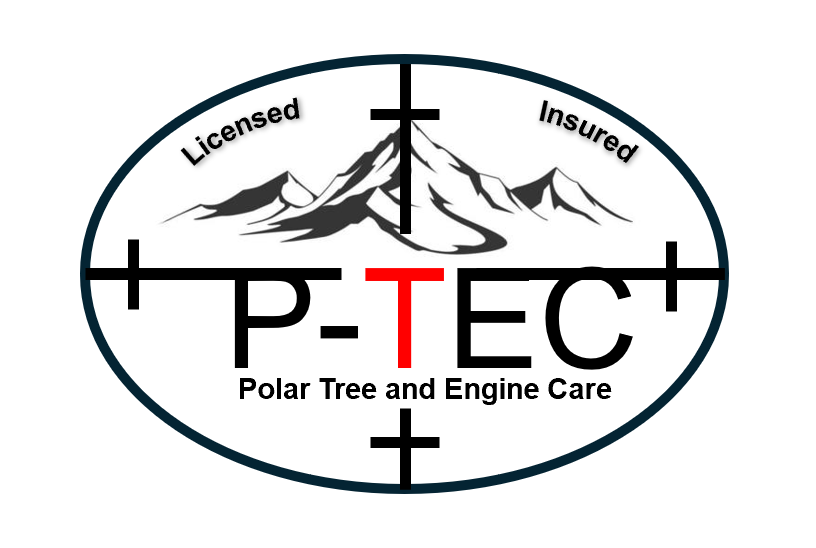 Polar Tree and Engine Care | Tree removal