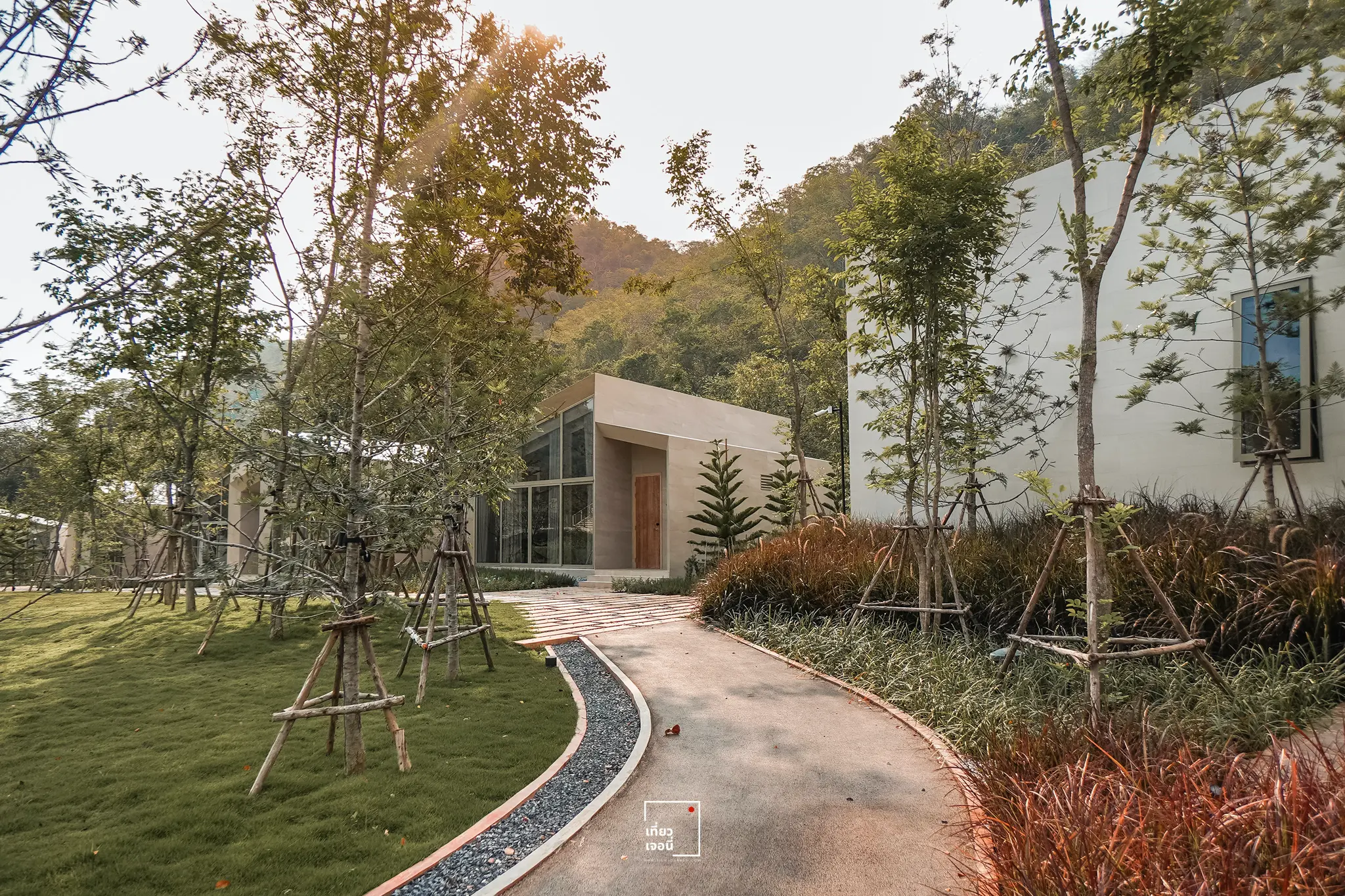 รีวิว MYS Khaoyai โรงแรมเปิดใหม่ล่าสุด ใจกลางเขาใหญ่ พร้อมสระว่ายน้ำลอยฟ้าอะคริลิคใสใหญ่ที่สุดในไทย