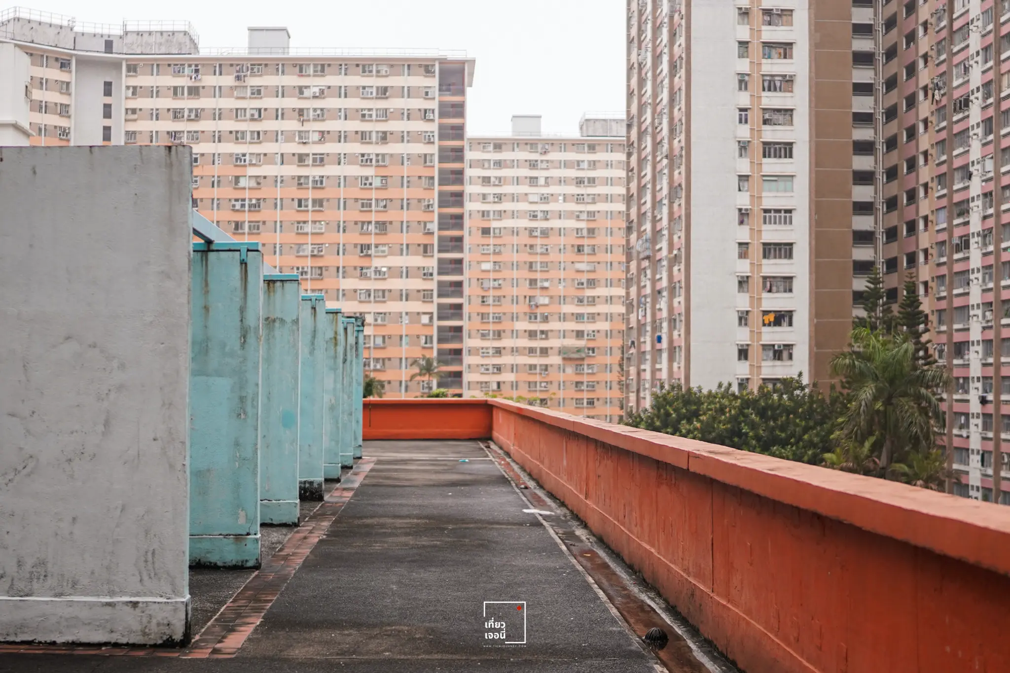 พิกัดถ่ายรูปฮ่องกง Lok Wah Estate