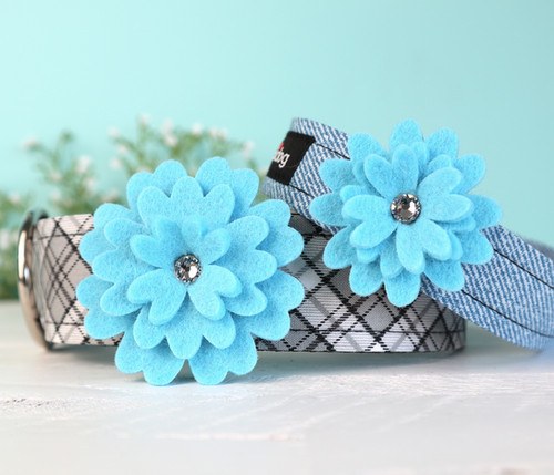 Sky Blue | attachment | dubdog