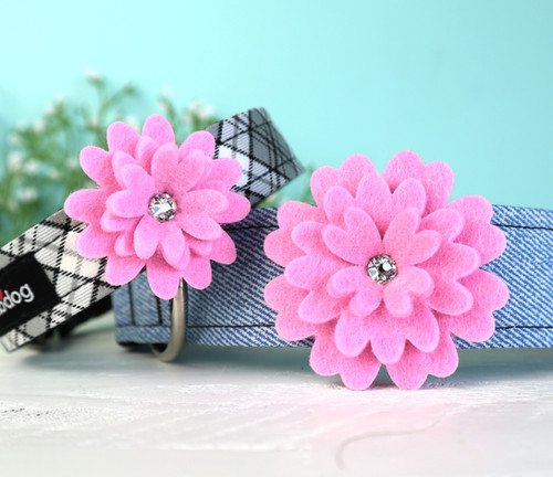 Bubblegum | attachment | dubdog