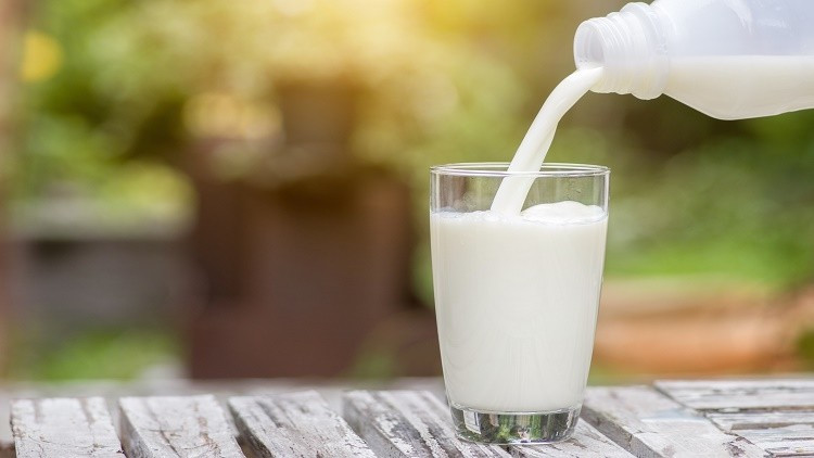 Raw Milk Co-Op | Season’s Harvest