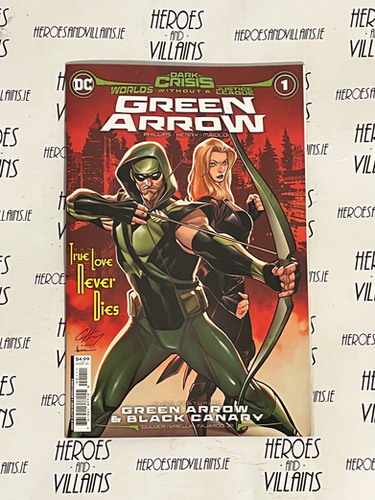 DARK CRISIS WORLD WITHOUT JUSTICE LEAGUE GREEN ARROW & BLACK CANARY #1 ...