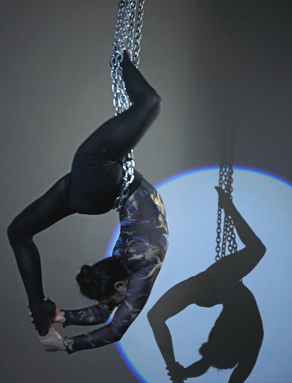 Aerial Arts Society | nationwide aerial competitions