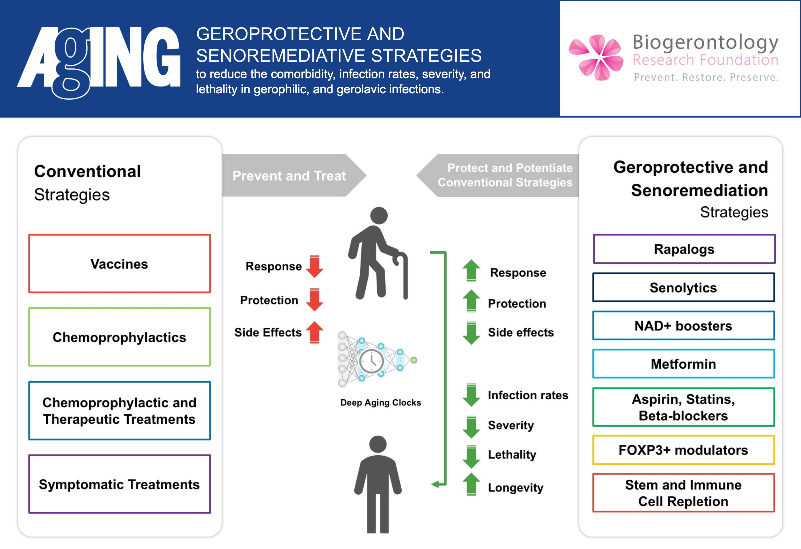 Biogerontology Research Foundation CSO Outlines Plans for Clinical ...