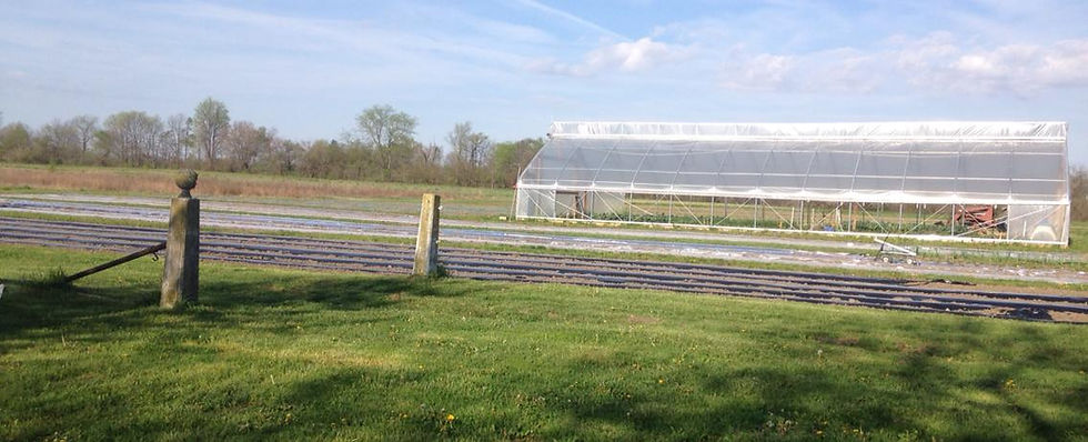 Chaplin Farms Produce Contact Us | Alexandria, Indiana | Chaplin Farms