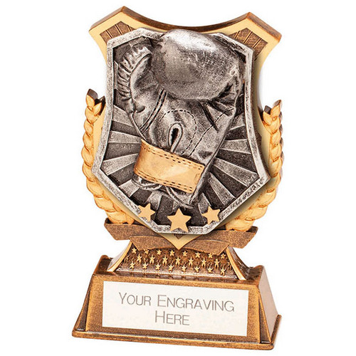 Titan Boxing Award - 125mm | Trophy365