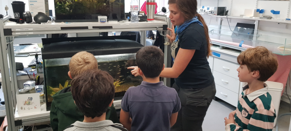 Fête de la Science, FR