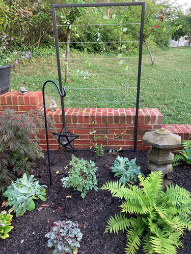 Modern Wire Trellises | Pthudsonalumiart