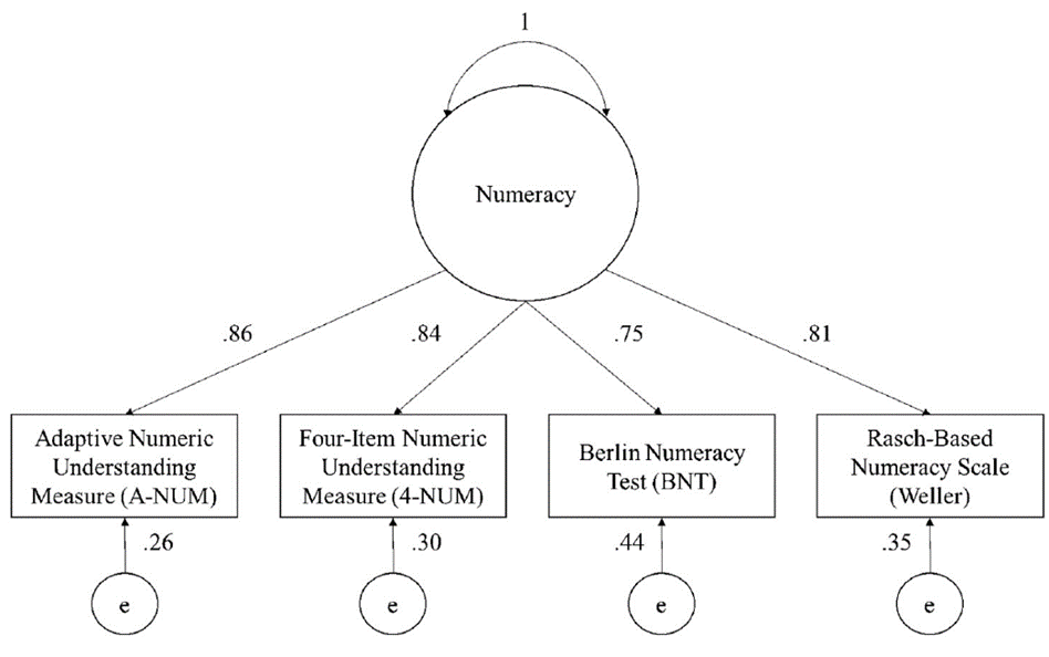 Developing and Validating the Numeric Understanding Measures (NUMs) Developing and Validating the Numeric Understanding Measures (NUMs)