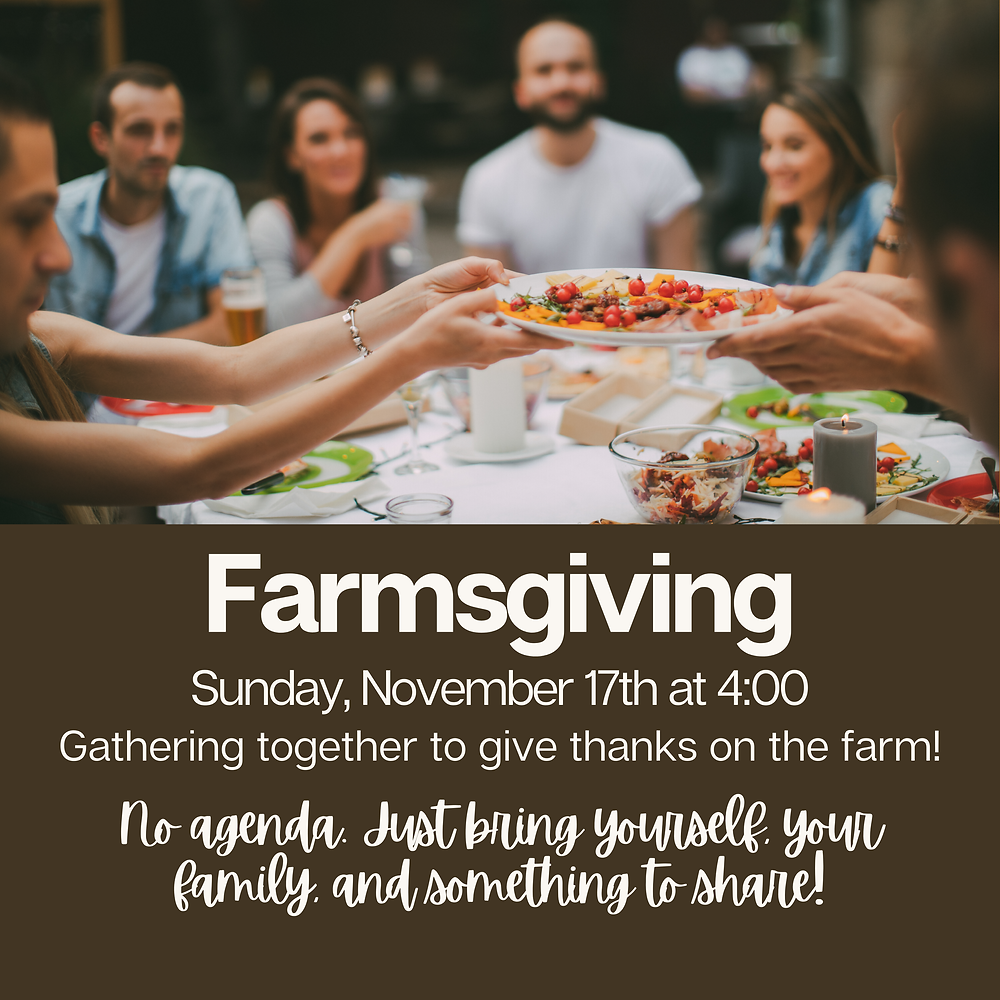 Celebrating 10 Years of Community at Bowers Farm: Join Us for FARMSGIVING!