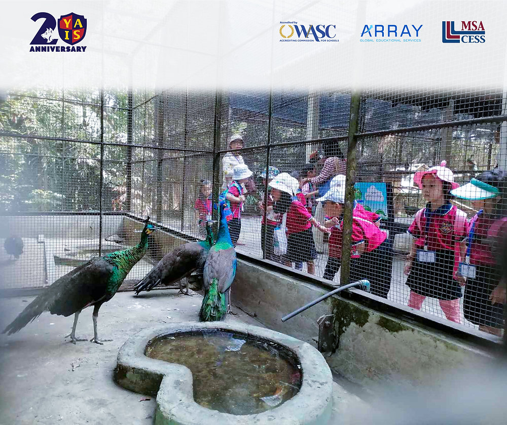 The wonders of the Yangon Zoo