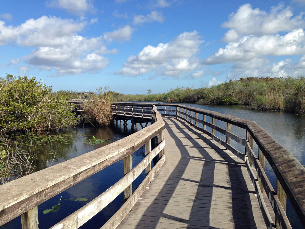 Best Hiking & Walking Trails in Miami