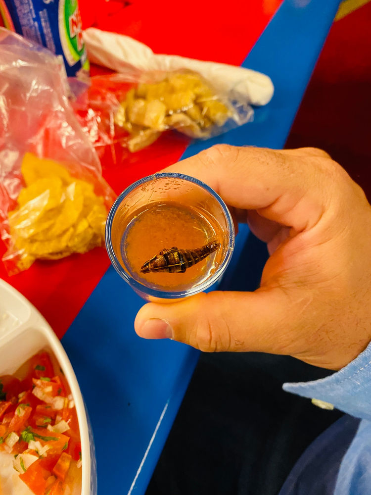 XOXIMILCO Cancun, Mexico