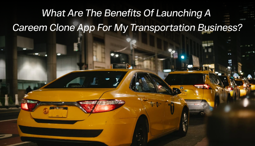 What Are the Benefits of Launching a Careem Clone App for My ...