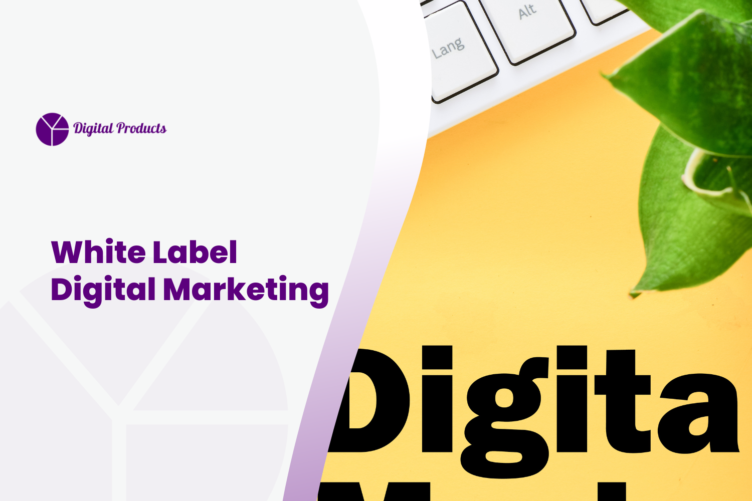 What is White Label Digital Marketing?