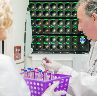 Bacteriología | Sanatorio Mater Dei