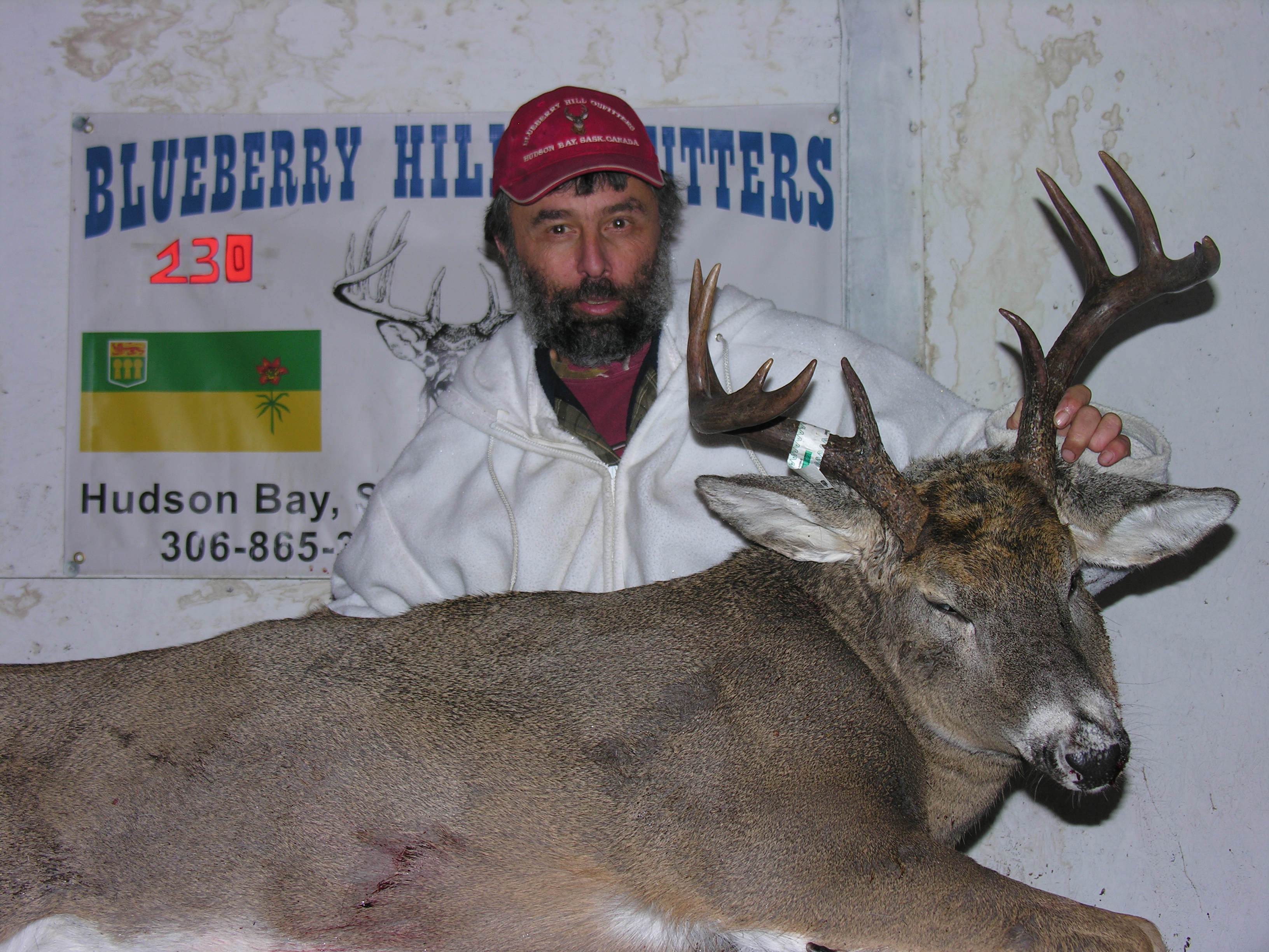 whitetail deer | mysite