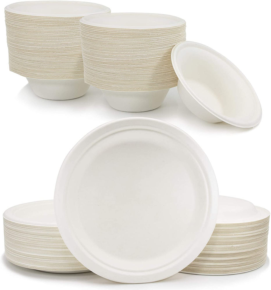 What Are Biodegradable Plates What Are They Made Of Explained In Detail what-are-biodegradable-plates-what-are-they-made-of-explained-in-detail