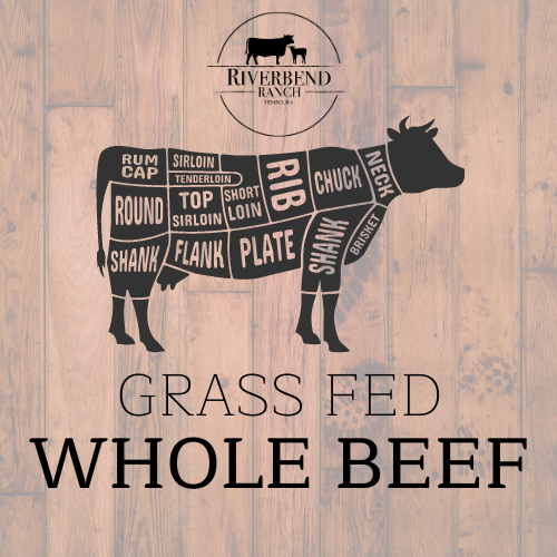 GRASS FED WHOLE BEEF *DEPOSIT* | Riverbend Ranch
