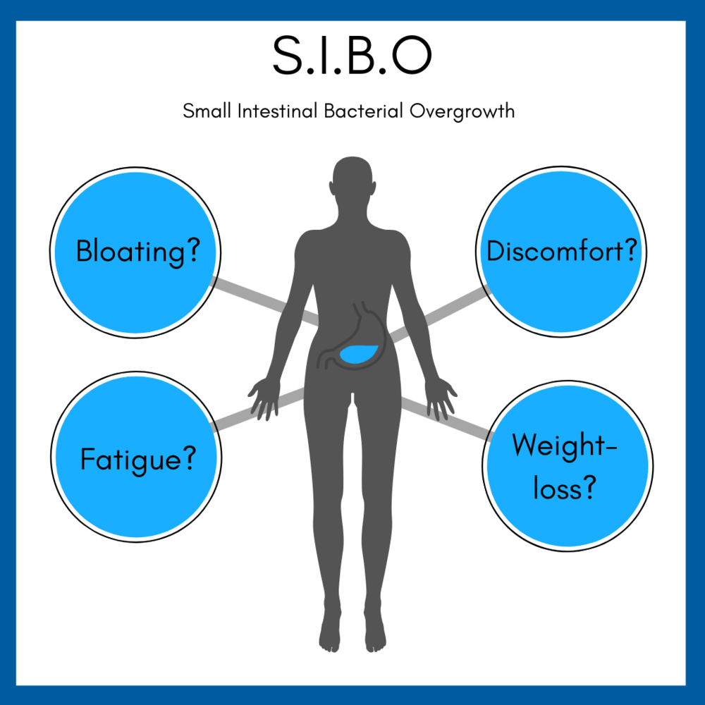What Is SIBO? Could It Be Contributing To Your Digestive Issues?