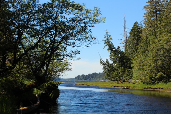 Home | Oona River | Porcher Island