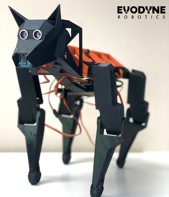 Book A Free Session | Evodyne Robotics
