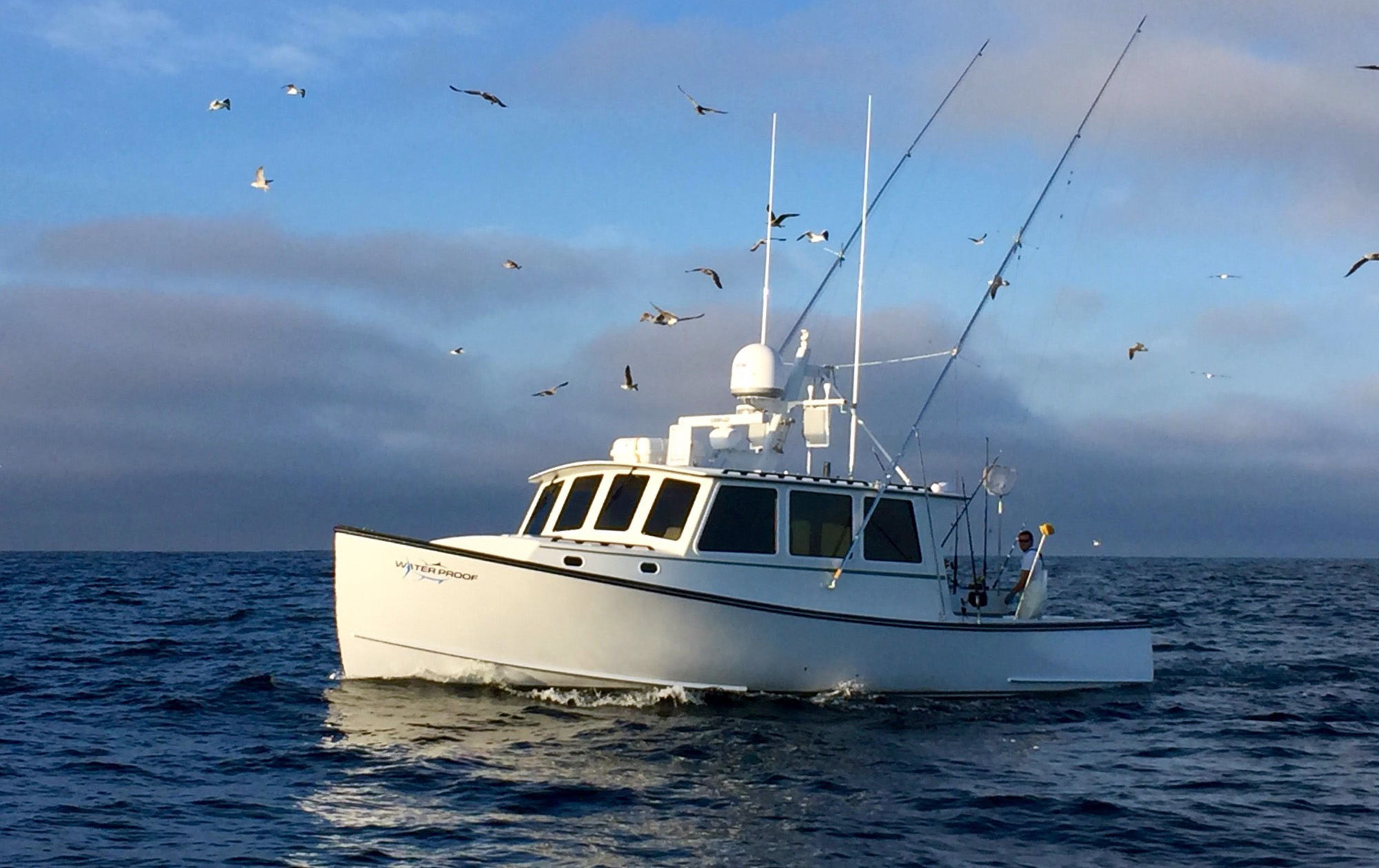 Blue Runner Sportfishing | Home