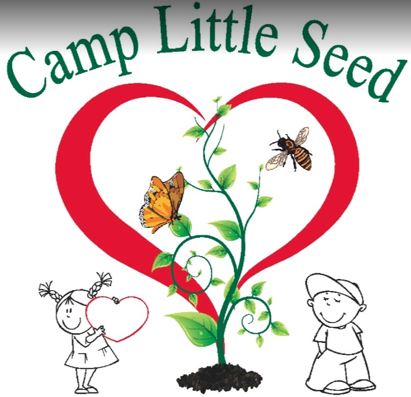Home | Camp Little Seed