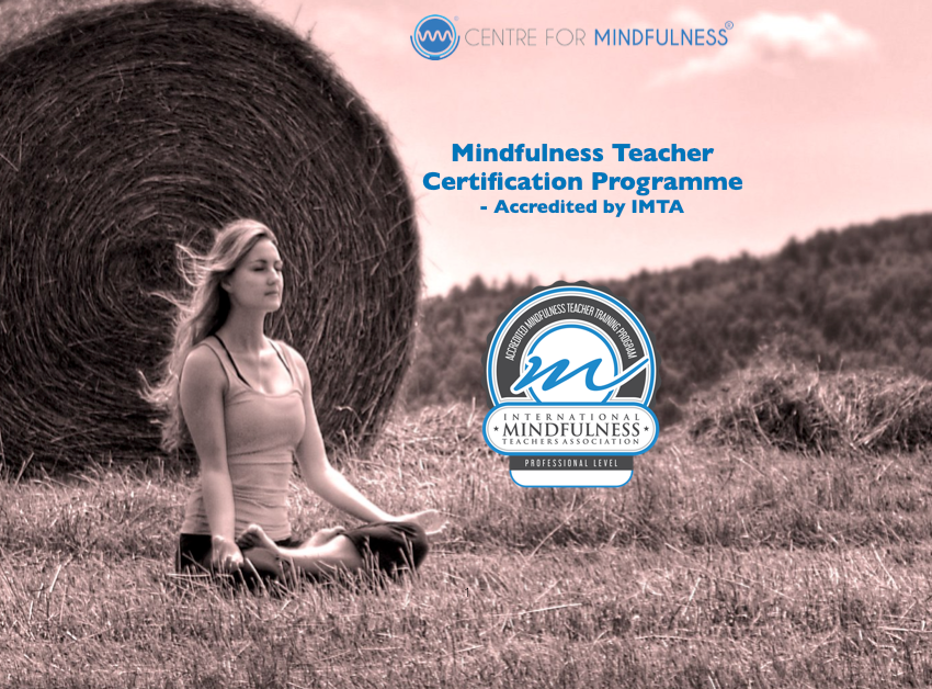 Mindfulness Teacher Training Certification Course Imta Accredited