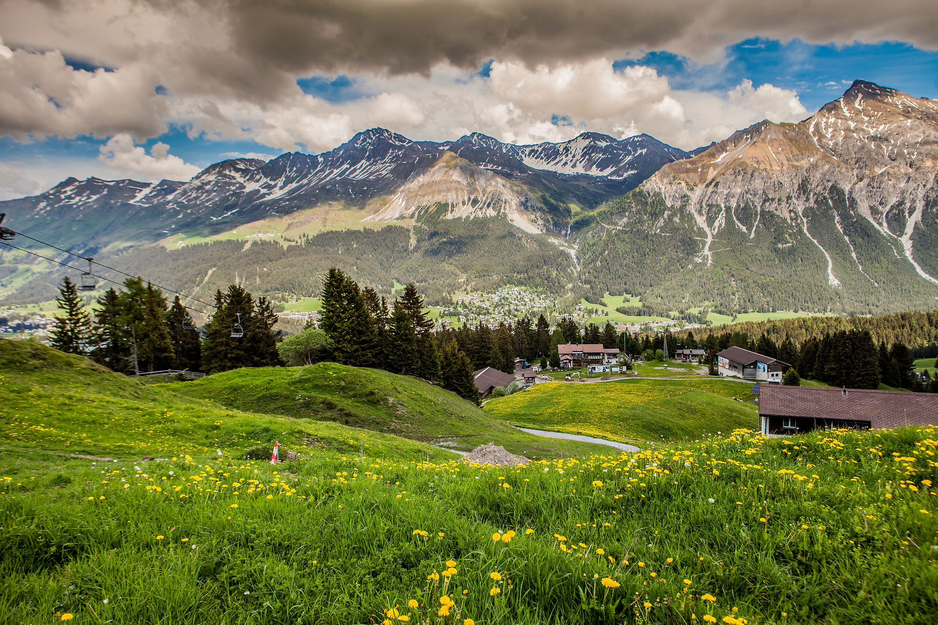 Lenzerheide - Summer (1500m) | photography
