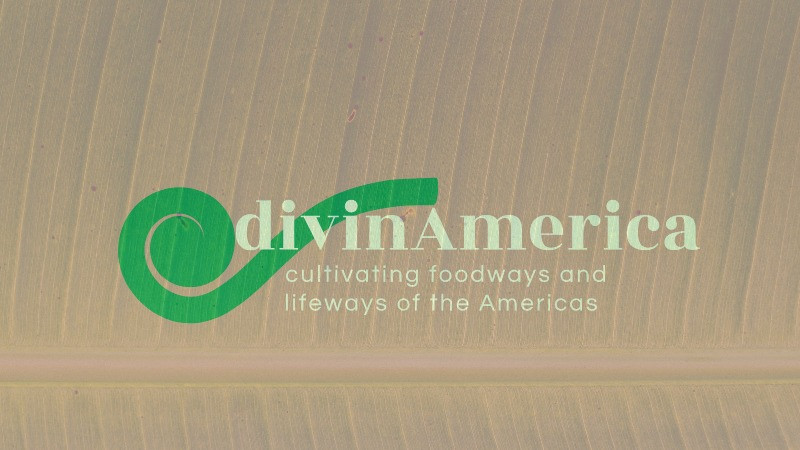 About | divinAmerica