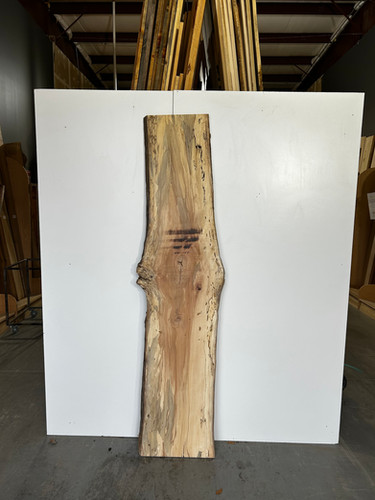 Spalted Sycamore Slab | OSL