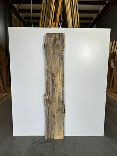Spalted Sycamore Slab | OSL