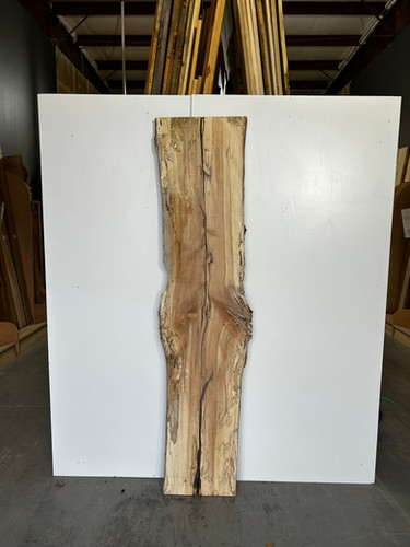 Spalted Sycamore Slab | OSL